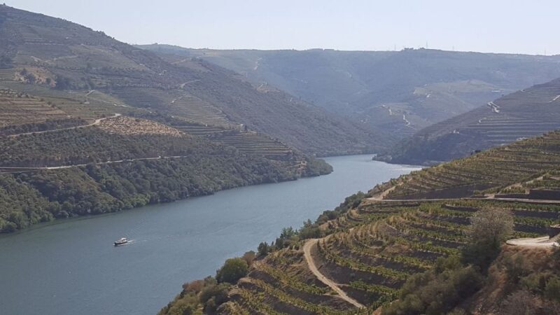 From Gaia Douro Valley Tour Wine Tasting River Cruise Lunch - The Guides: Knowledgeable, Friendly, and Professional
