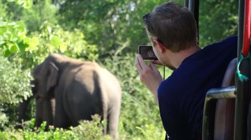 From Galle: All Inclusive Half Day Safari in Yala -Private - Key Points