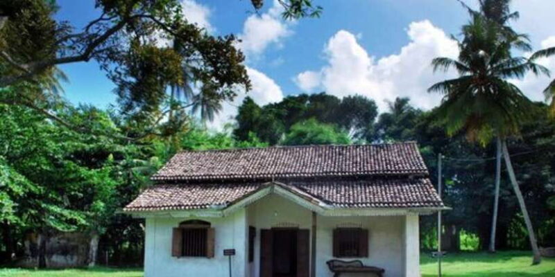 From Galle: Hidden Temples, Snakes & Coastlines Tour - Starting Point: Galle & Pickup