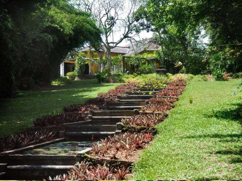 From Galle/Hikkaduwa: Discover Lunuganga & Brief Garden - Key Points
