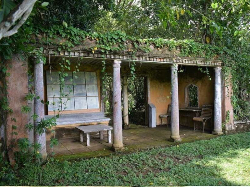 From Galle/Hikkaduwa: Discover Lunuganga & Brief Garden - The Practicalities and What You Need to Know