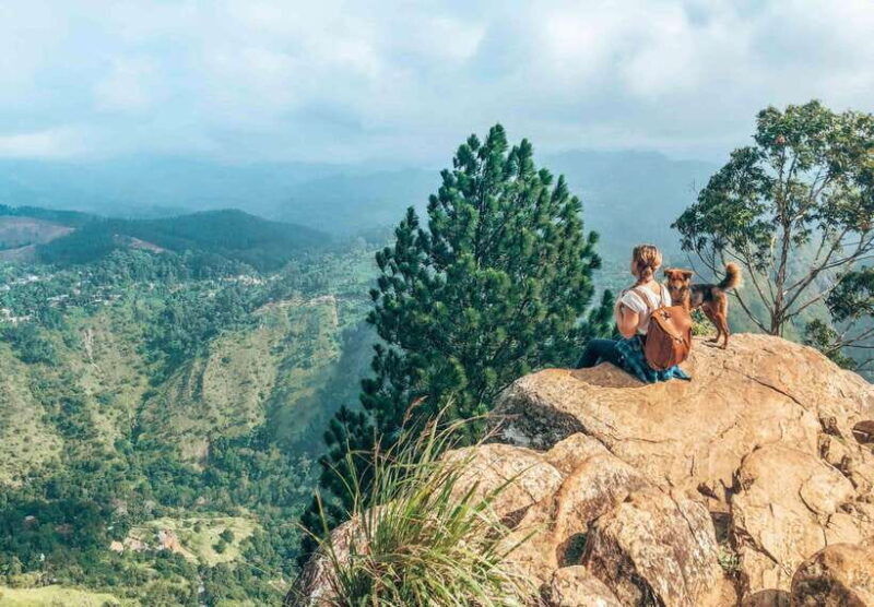 From Galle/Hikkaduwa/Mirissa: Day Trip to Experience Ella - Authentic Traveler Insights and Feedback