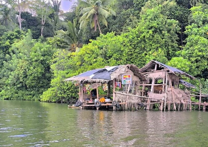 From Galle: Madu River Safari & Turtle Hatchery Visit - An In-Depth Look at the Tour Experience