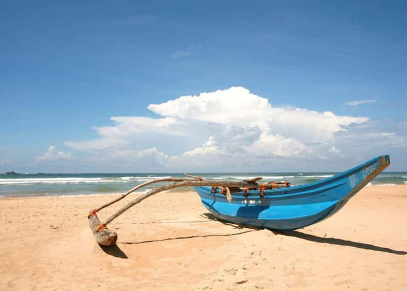 From Galle: Madu River Safari, Turtles & Galle Fort - The Journey Begins: Pickup and Transport