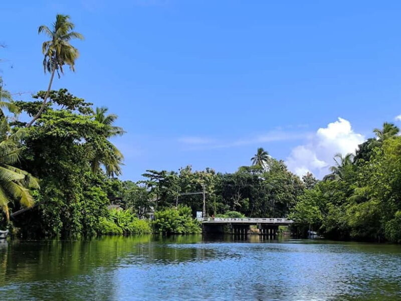 From Galle: Madu River Safari, Turtles & Galle Fort - Turtle Hatchery: Conservation in Action