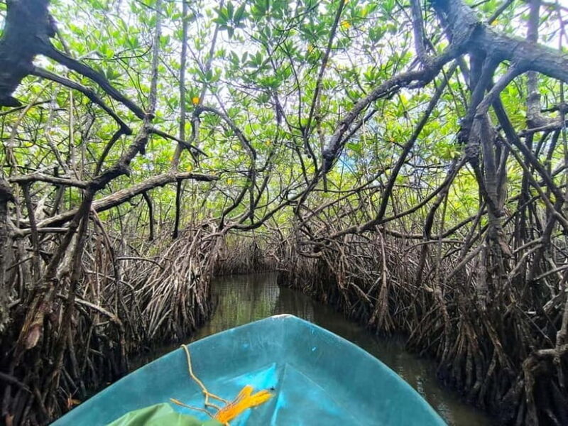 From Galle: Madu River Safari, Turtles & Galle Fort - Galle Fort: A Walk Through Colonial Heritage