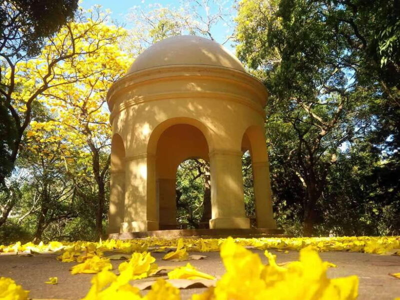 From Galle/Mirissa/Hikkaduwa: Kandy Day Tour with Pickup - Why This Tour Stands Out