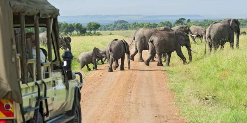 From Galle/Mirissa/Hikkaduwa- Udawalawe National Park Safari - Final Thoughts