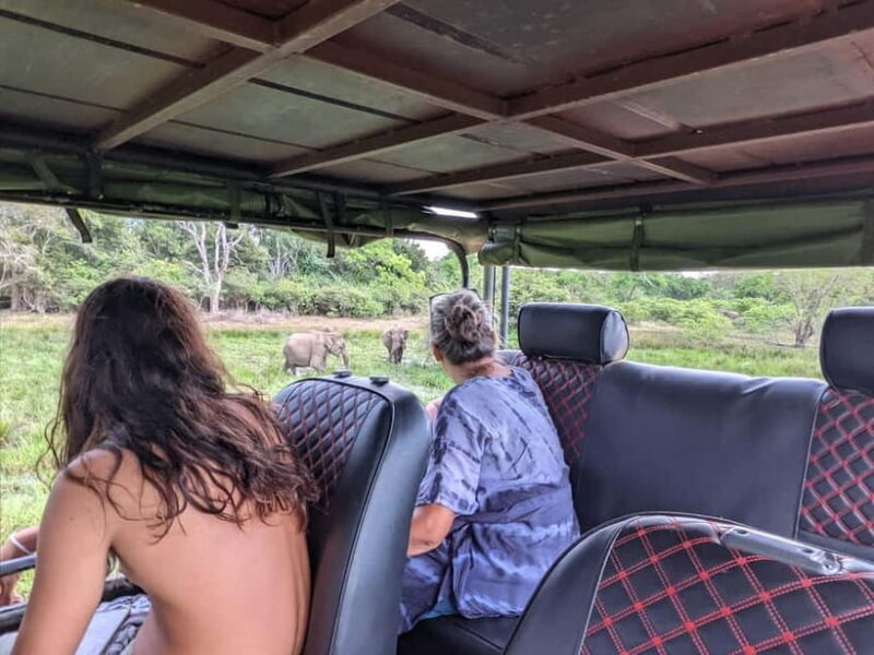 From Galle/ Mirissa/ Tangalle : Udawalawa Safari & Drop Ella - FAQ