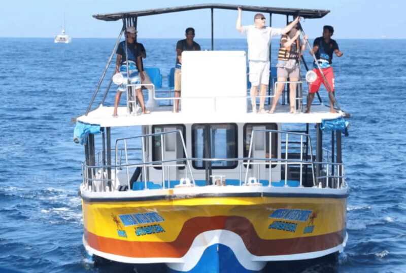From Galle: Mirissa Whale and Dolphin Watching Boat Ride - Who Should Consider This Tour?