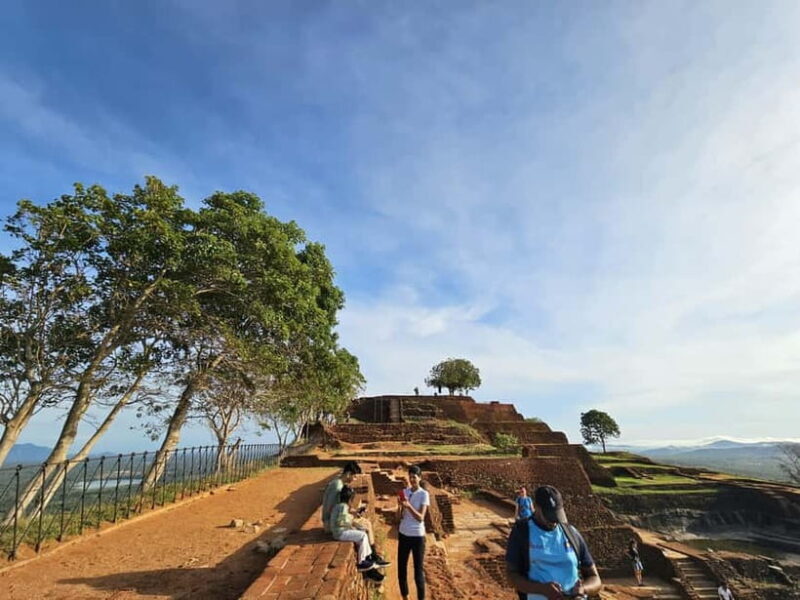 From Galle: Sigiriya Rock Fortress, Dambulla Cave & Safari - Final Thoughts: Who Would Love This Tour?