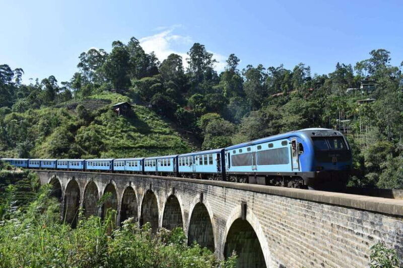 From Galle/Weligama/Mirissa: Day Trip to Ella Highlands - Key Points