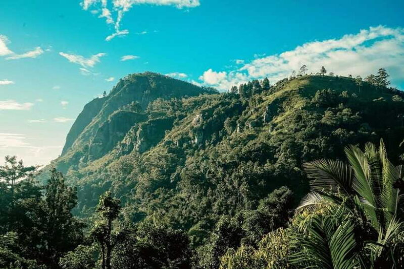 From Galle/Weligama/Mirissa: Day Trip to Ella Highlands - Final Thoughts