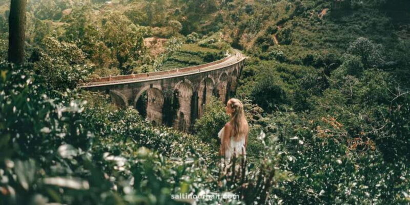 From Galle/Weligama/Mirissa: Day Trip to Experience Ella - The Guide and Overall Experience