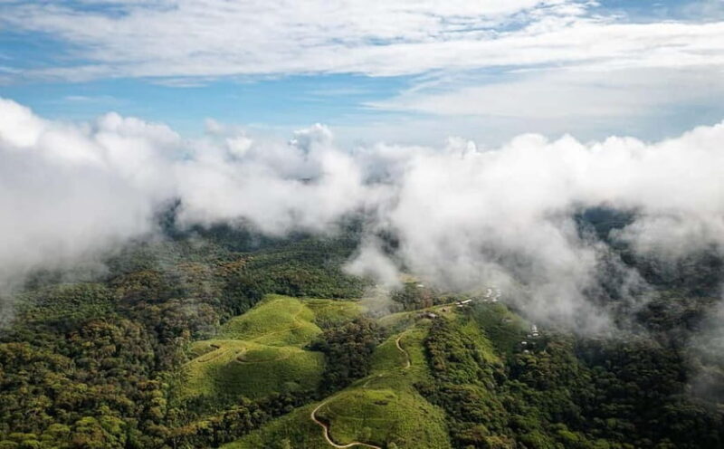 From Galle/Weligama/Mirissa/Matara: Day Trip to Sinharaja - Authenticity and Customer Feedback