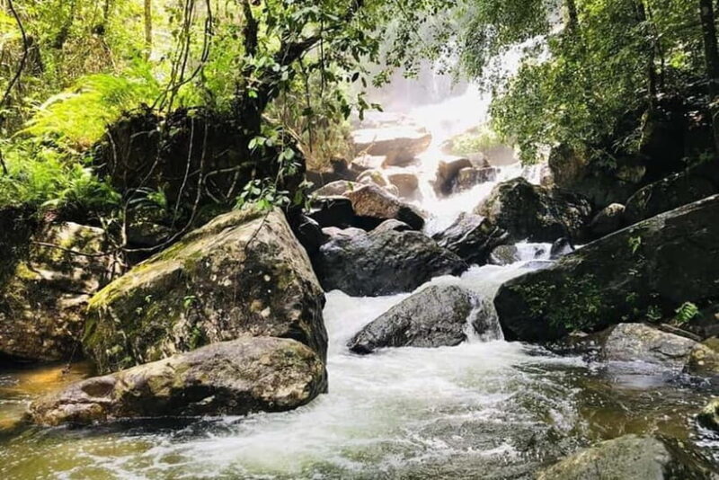 From Galle/Weligama/Mirissa/Matara: Day Trip to Sinharaja - The Experience in Detail