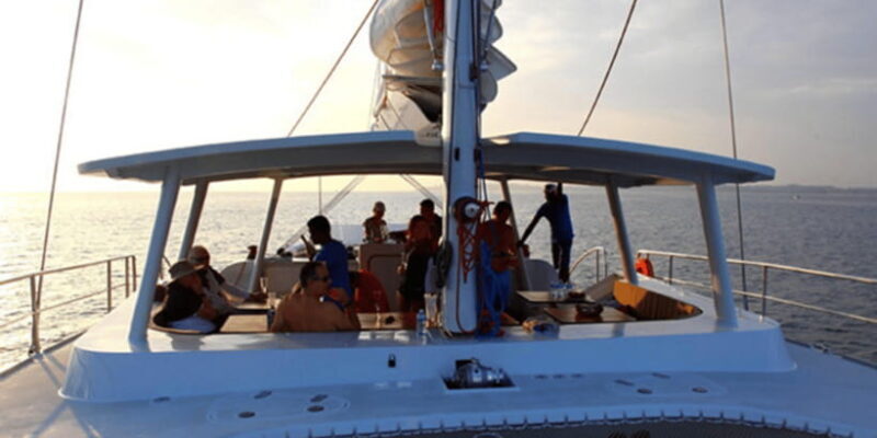 From Galle : Whale and Dolphin Watching Tour in Mirissa - Pricing and Value