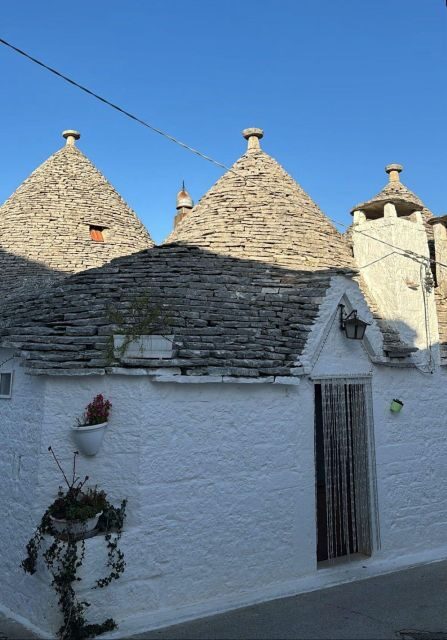 From Gallipoli or Lecce Province: Ostuni and Alberobello - Key Points