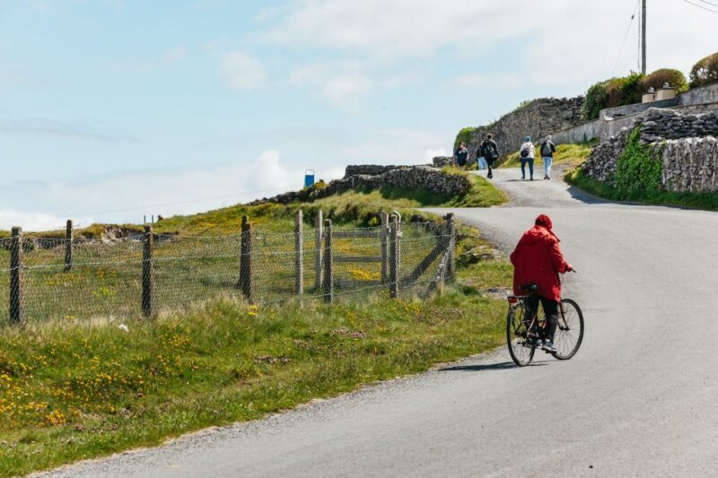 From Galway: Aran Islands & Cliffs of Moher Full-Day Trip - Authentic Experiences & Traveler Feedback