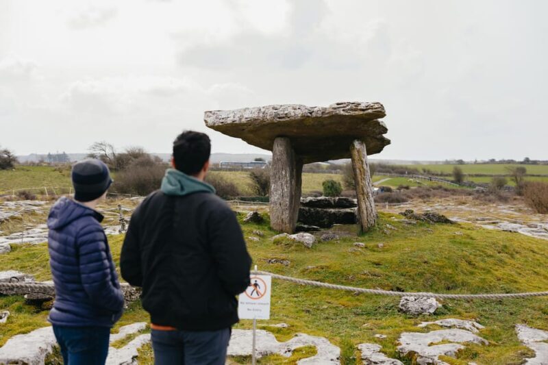 From Galway: Cliffs of Moher and The Burren Guided Day Trip - In The Sum Up