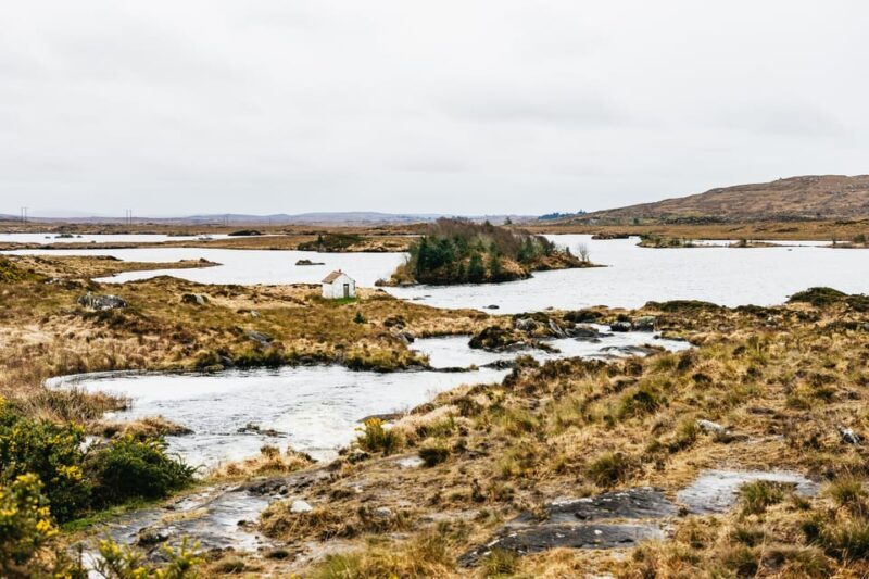 From Galway: Connemara and Connemara National Park Day Trip - FAQs
