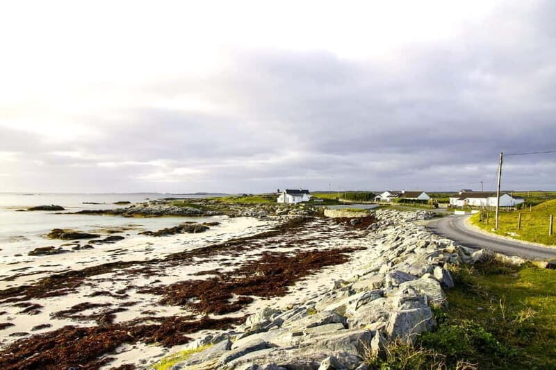 From Galway: Connemara, Aran Islands, Cruise & Burren tour - Exploring the Itinerary in Detail