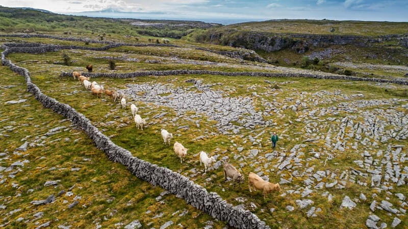 From Galway: Connemara, Aran Islands, Cruise & Burren tour - Final Thoughts