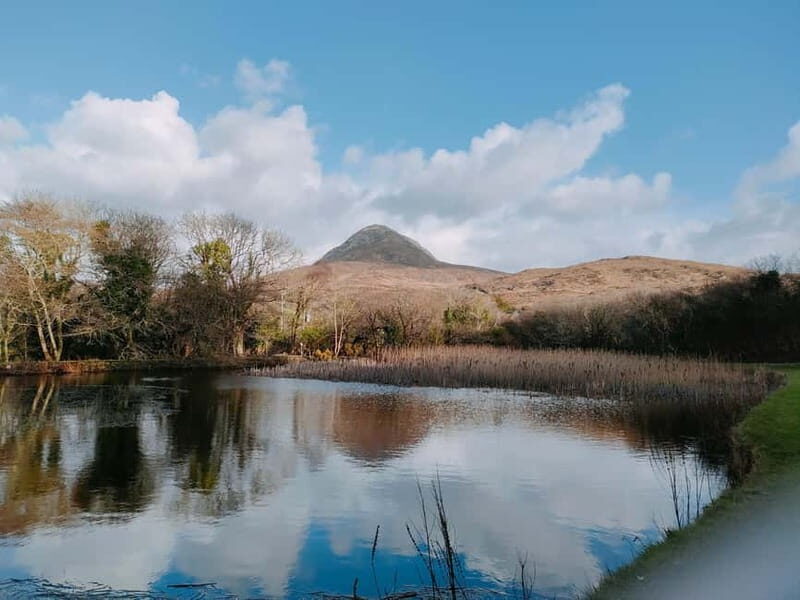 From Galway: Connemara, Kylemore Abbey & Castles 1 Day Tour - Practical Details and Value