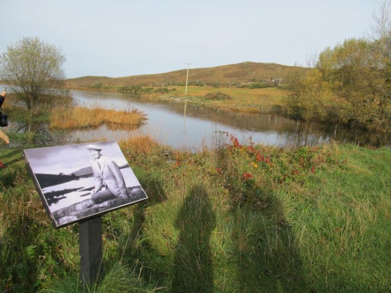 From Galway: Connemara National Park Full Day Tour - What Travelers Are Saying