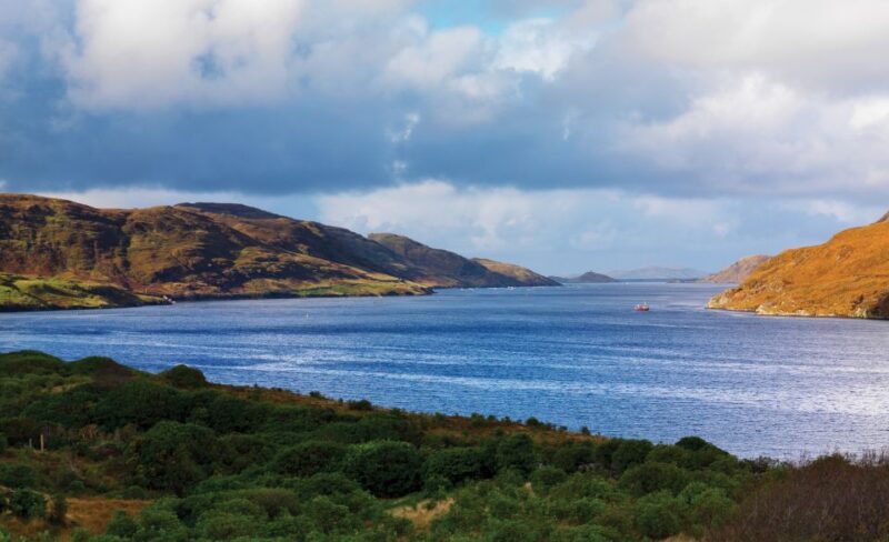From Galway: Connemara National Park Full Day Tour - Pricing and Value