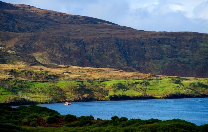 From Galway: Connemara National Park Full Day Tour - Who Will Love This Tour?