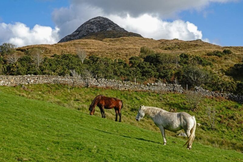 From Galway: Connemara National Park Full Day Tour - Final Thoughts