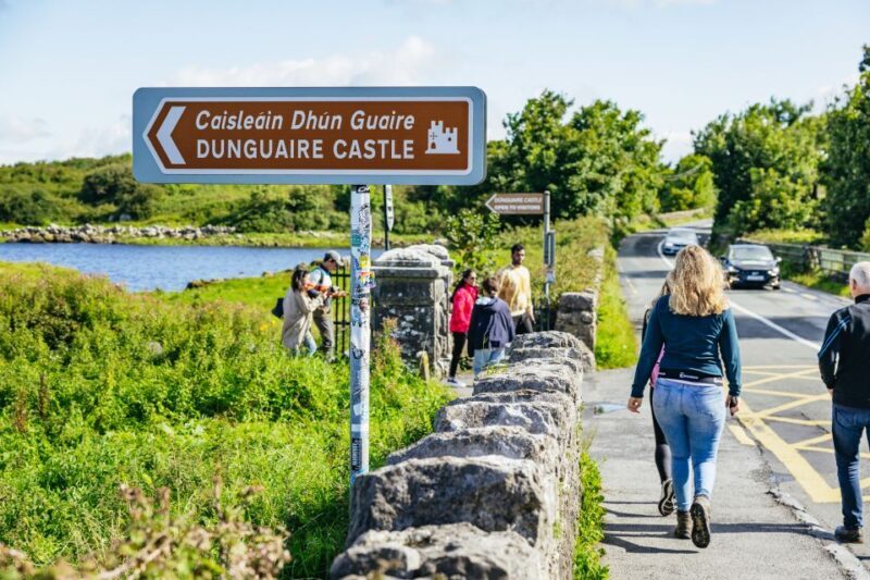 From Galway: Full-Day Cliffs of Moher & Burren Guided Tour - Key Points