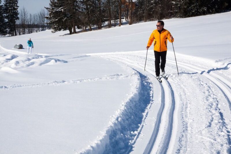 From Gardiner: Guided Yellowstone Cross-Country Skiing Tour - Introduction to the Experience