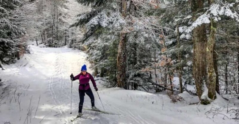 From Gardiner: Guided Yellowstone Cross-Country Skiing Tour - Why This Tour Delivers Value