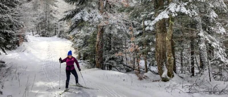 From Gardiner: Guided Yellowstone Cross-Country Skiing Tour - Practical Tips for Participants