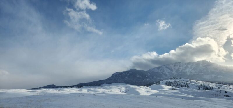 From Gardiner: Yellowstone National Park Snowshoe Tour - Key Points
