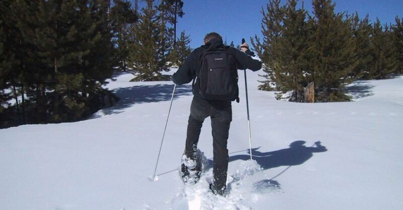 From Gardiner: Yellowstone National Park Snowshoe Tour - Introduction: A Handsome Winter Escape