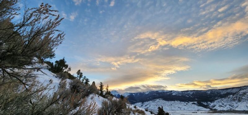 From Gardiner: Yellowstone National Park Snowshoe Tour - The Practical Details