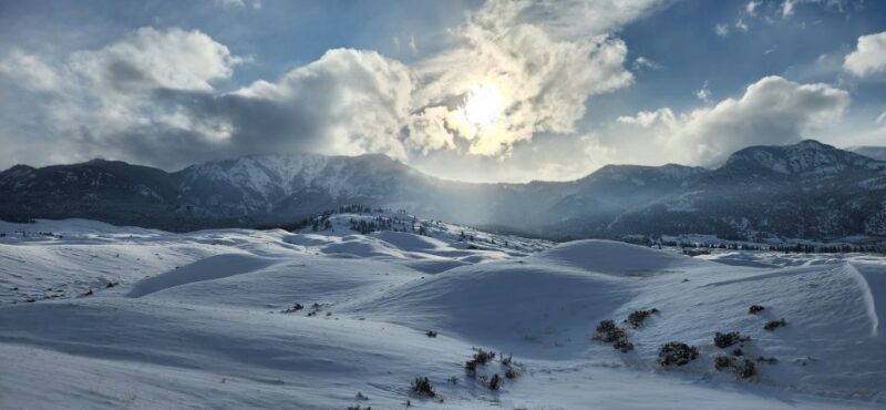From Gardiner: Yellowstone National Park Snowshoe Tour - Authentic Yellowstone in Winter