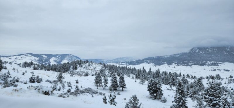 From Gardiner: Yellowstone National Park Snowshoe Tour - Who Will Love This Tour?