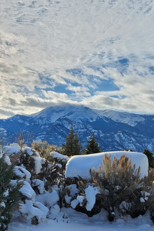 From Gardiner: Yellowstone National Park Snowshoe Tour - FAQ