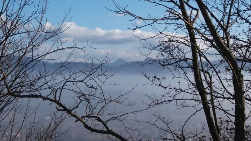 From Gavi: Piedmont Truffle Hunting Experience with Tasting - FAQs