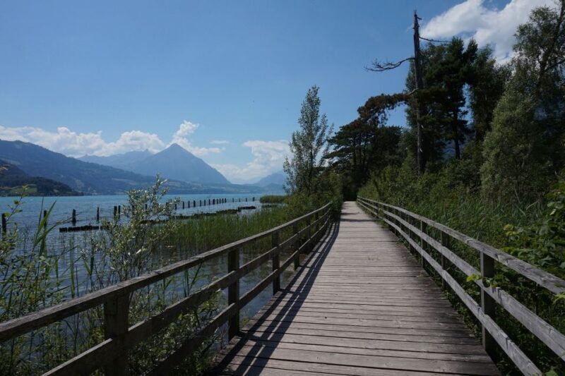 From Geneva: Full-Day Trip to Interlaken - A Complete Guide to the Full-Day Geneva to Interlaken Trip