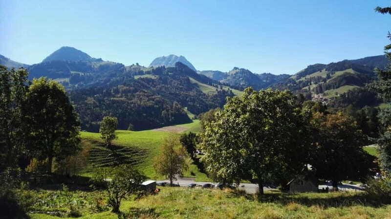 From Geneva: Gruyères Tour with Cheese & Chocolate Factories - Who Should Consider This Tour?