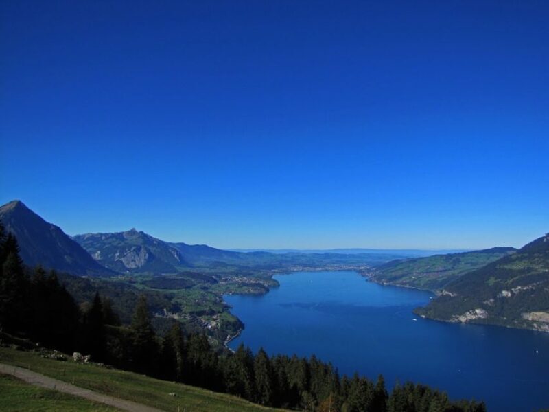 From Geneva: Paragliding and Interlaken Trip - Key Points