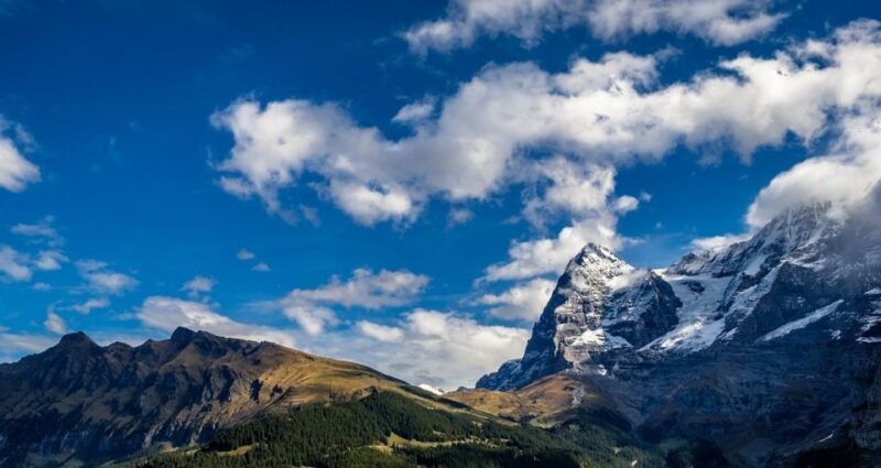 From Geneva: Paragliding and Interlaken Trip - Who Should Consider This Tour?