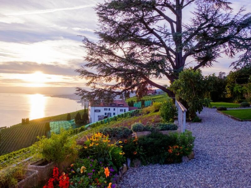 From Geneva: Swiss Riviera Private Tour - The Sum Up