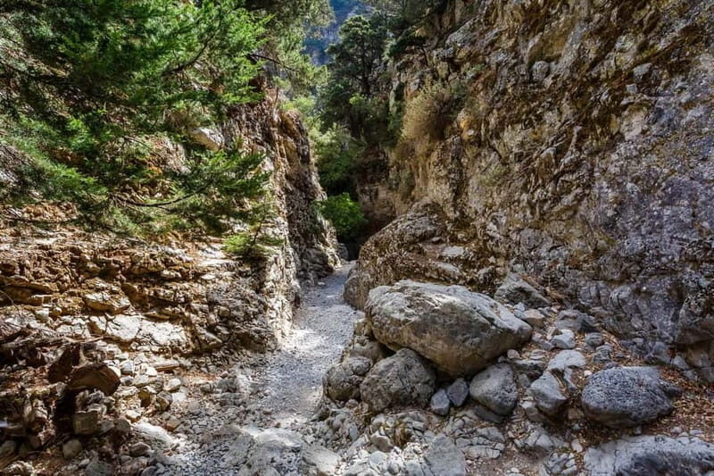 From Georgioupoli: Easy Hiking Day-Trip to Imbros Gorge - The Itinerary Deep Dive