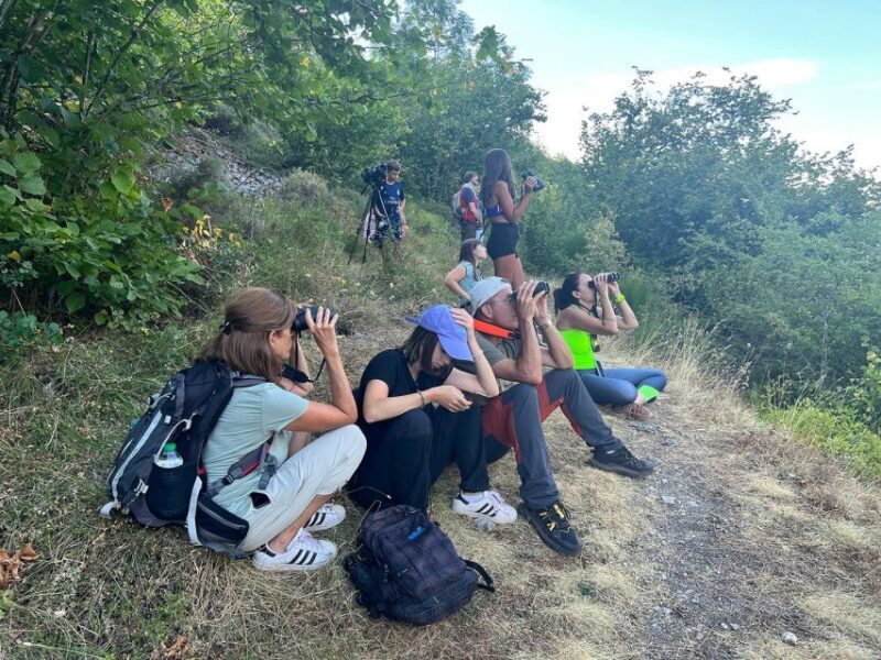 From Gijón, Oviedo or Pola de Somiedo: Brown Bear Spotting - Introduction: What Makes This Tour Special?